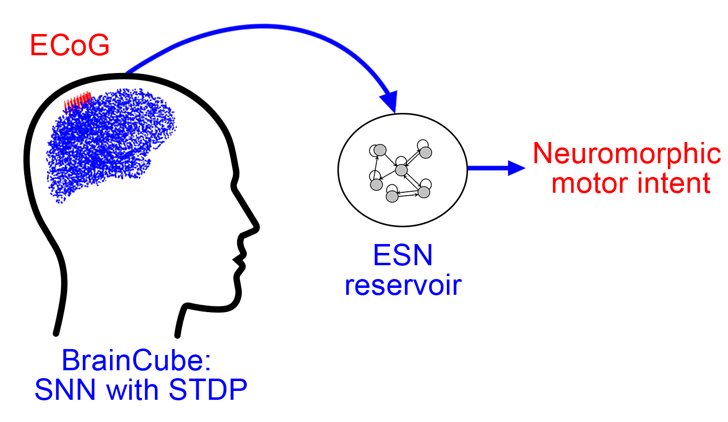 NEMO – Auto-adaptive NEuroMOrphic Brain-Machine Interface: toward fully ...