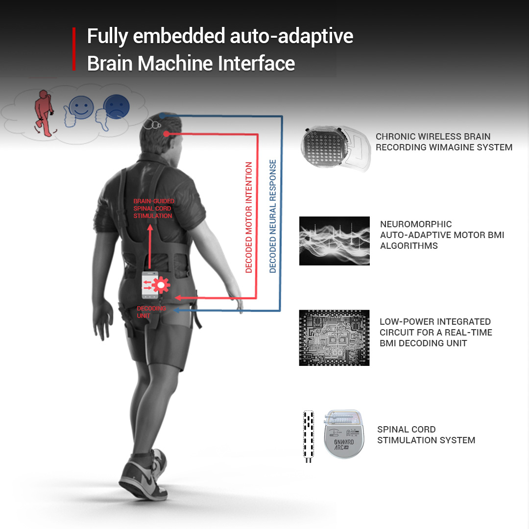 NEMO – Auto-adaptive NEuroMOrphic Brain-Machine Interface: toward fully ...