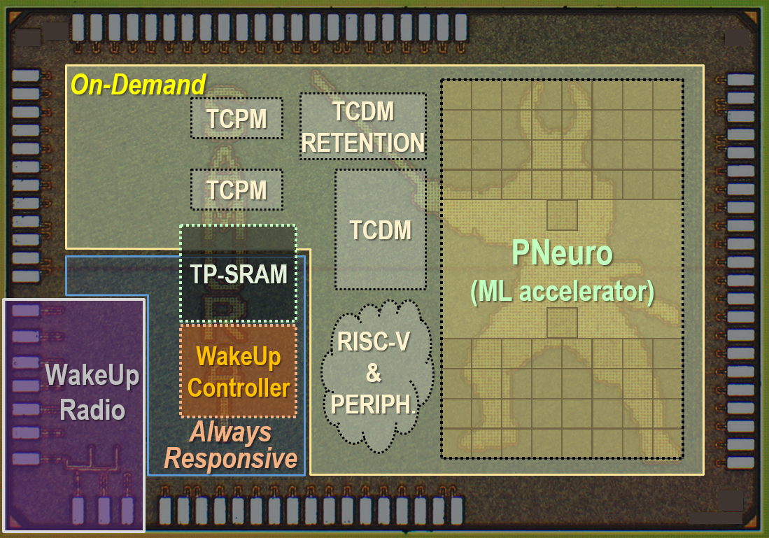 NEMO – Auto-adaptive NEuroMOrphic Brain-Machine Interface: toward fully ...
